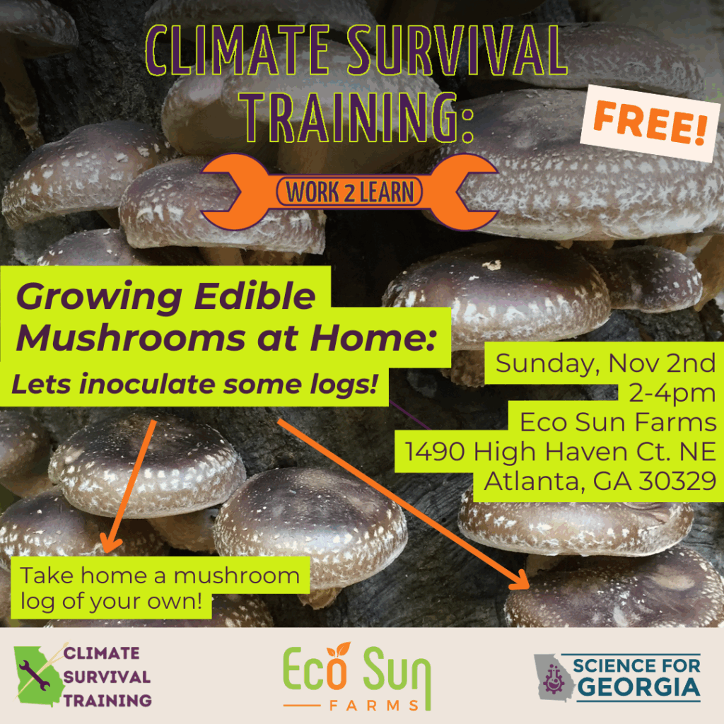 CST: Work2Learn: Growing Edible Mushrooms at Home – Science for Georgia